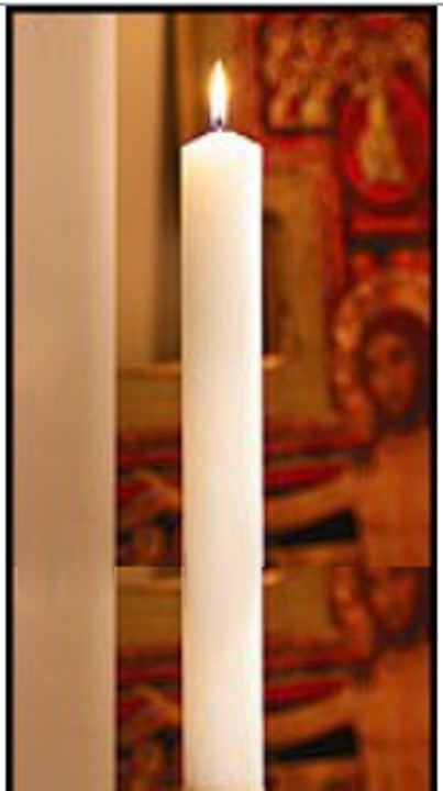 Purissima 100% Bee's Wax Candles - 12 Pack - 1 1/2" x 16" With All ...