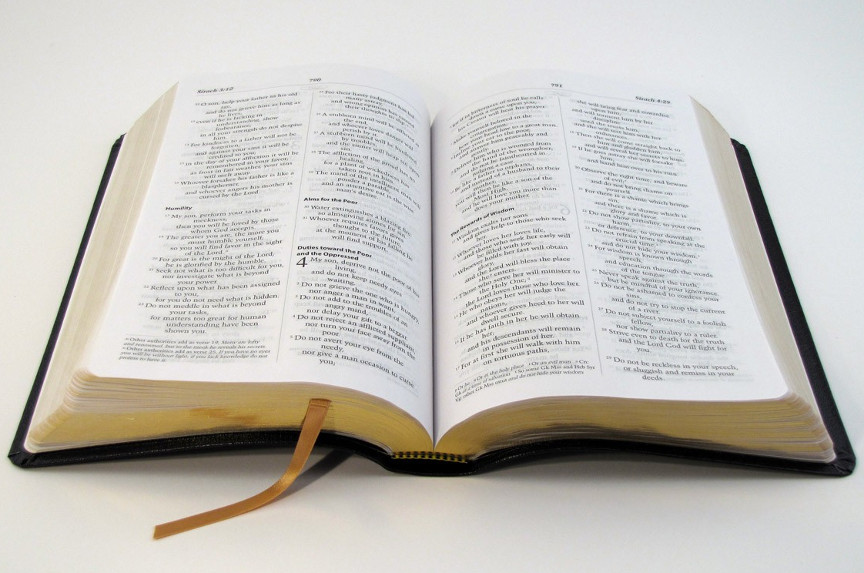 Revised Standard Version Catholic Bible - RSV-CE - Premium UltraSoft